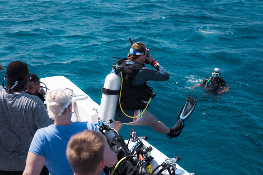 Scuba Dive Courses - Belize Dive Haven Resort