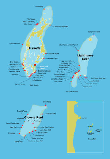 Best Dive Sites in Belize - Belize Dive Haven Resort