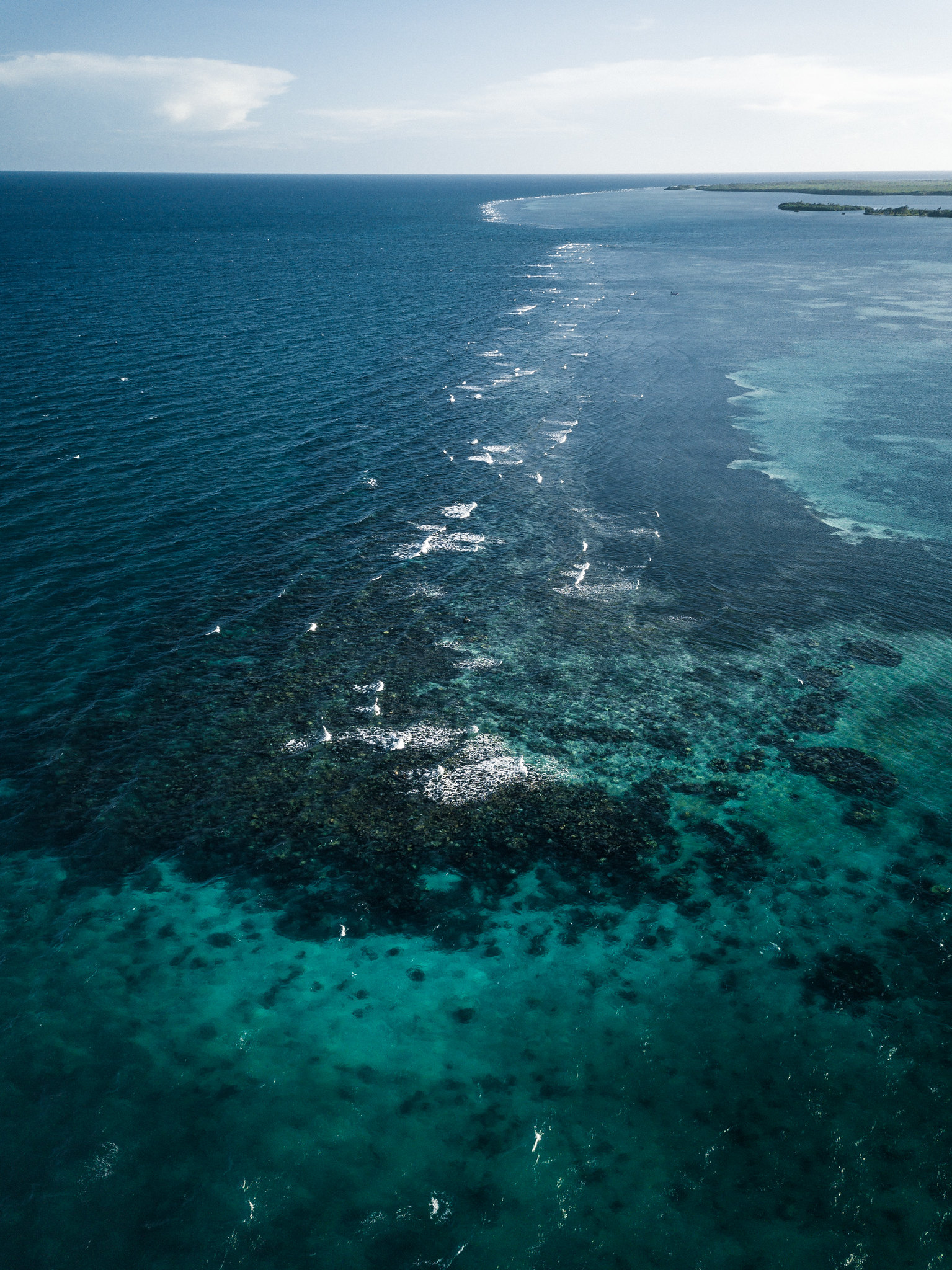 What’s Unique About the Belize Barrier Reef? - Belize Dive Haven Resort