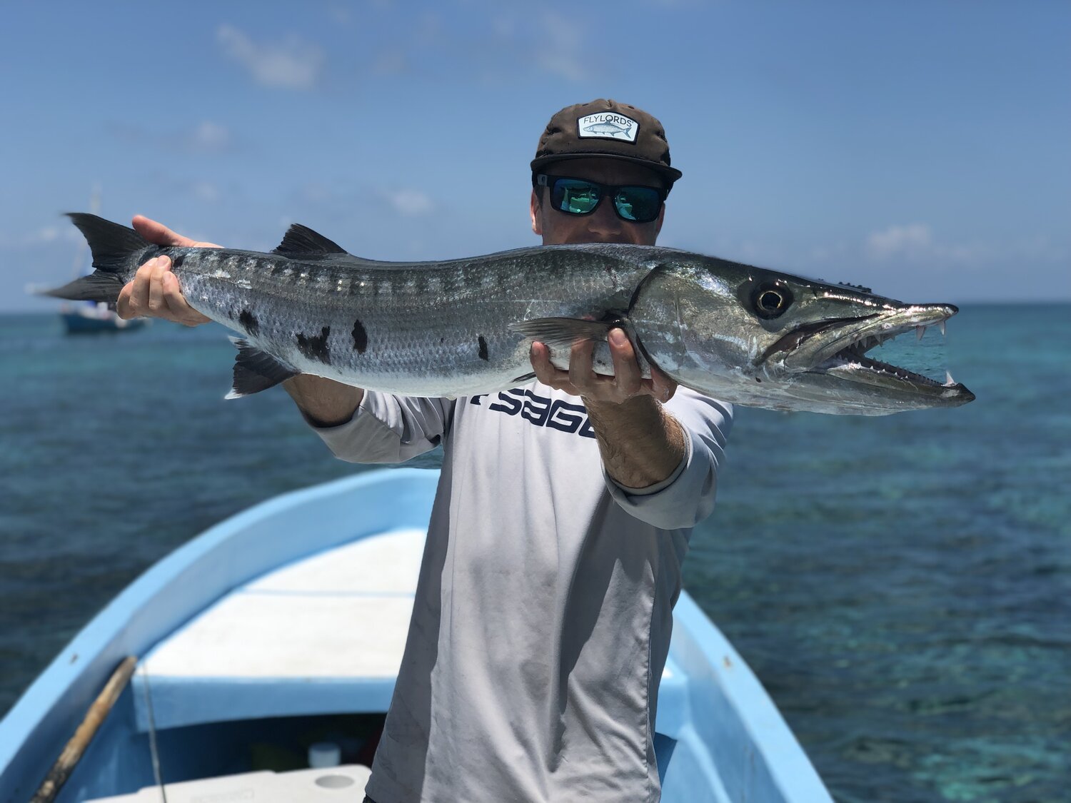 Your Guide to Barracudas in Belize - Belize Dive Haven Resort