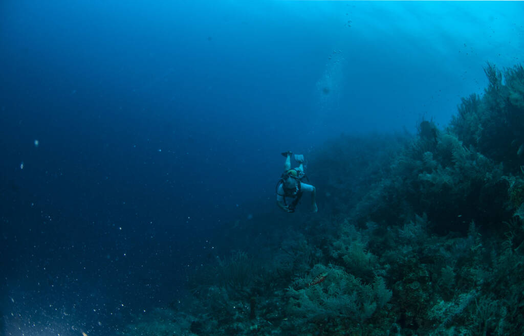 Tips for Diving the Blue Hole - Belize Dive Haven Resort