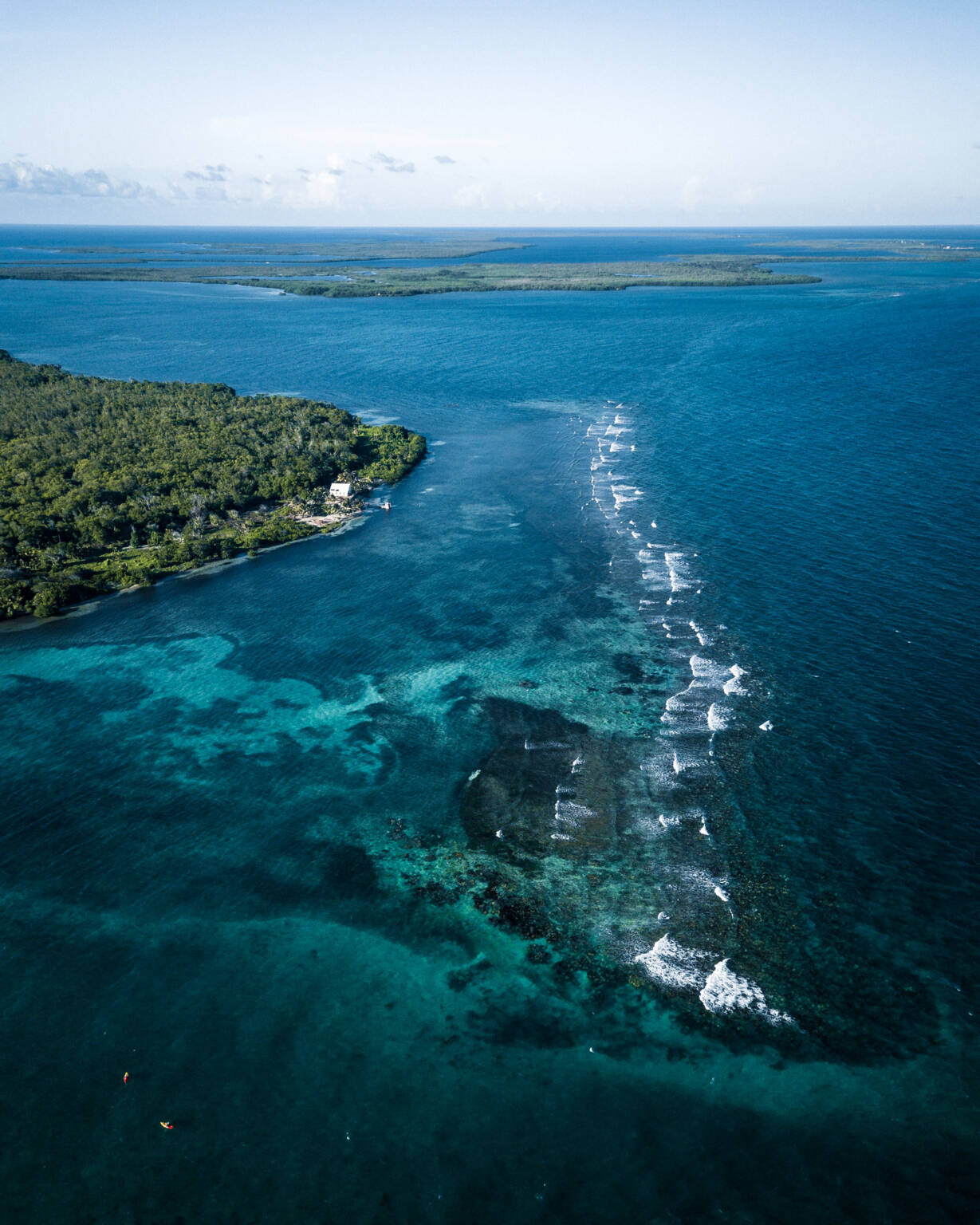 3 Reasons You’ll Love Diving in Belize - Belize Dive Haven Resort