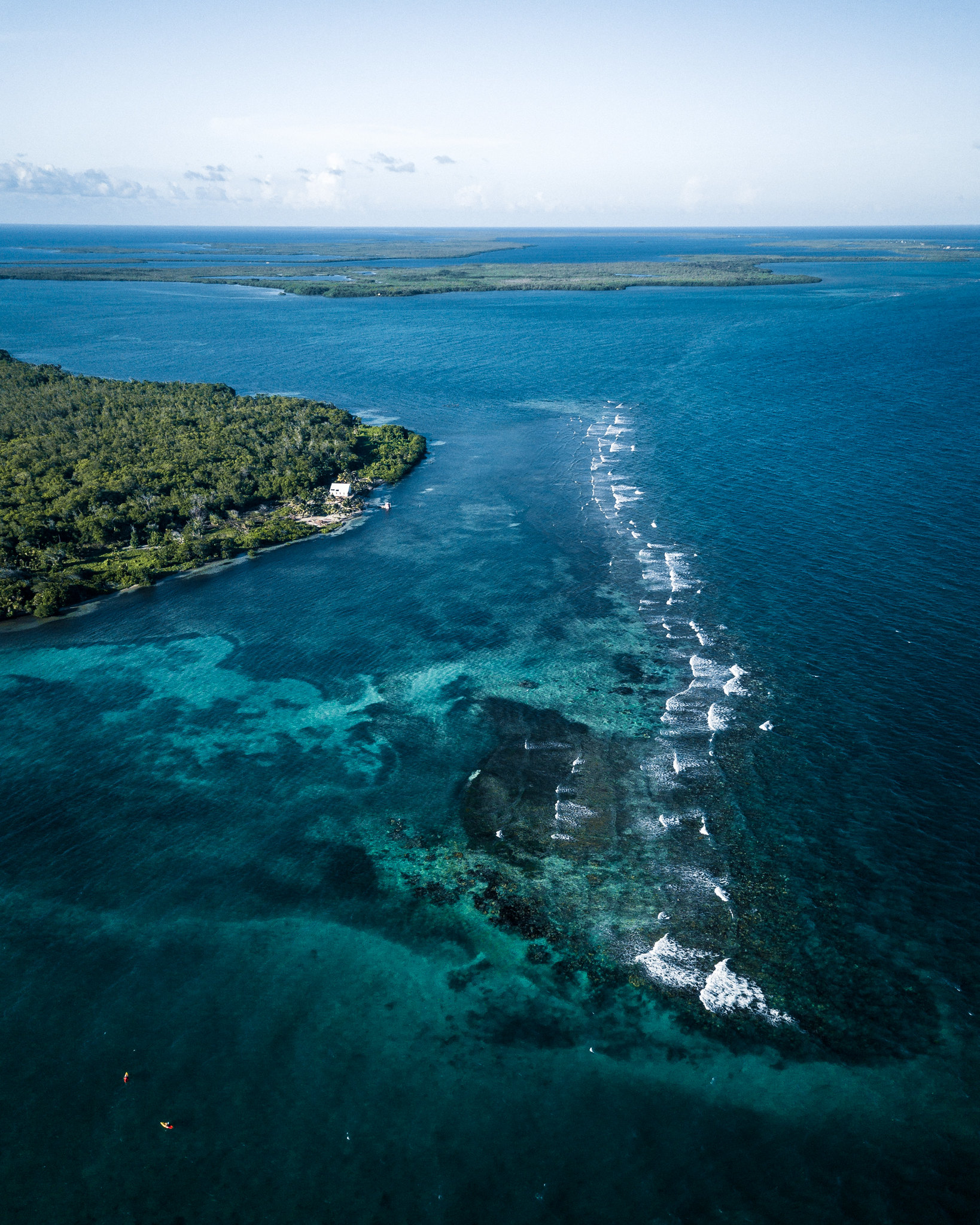3 Reasons You’ll Love Diving in Belize - Belize Dive Haven Resort