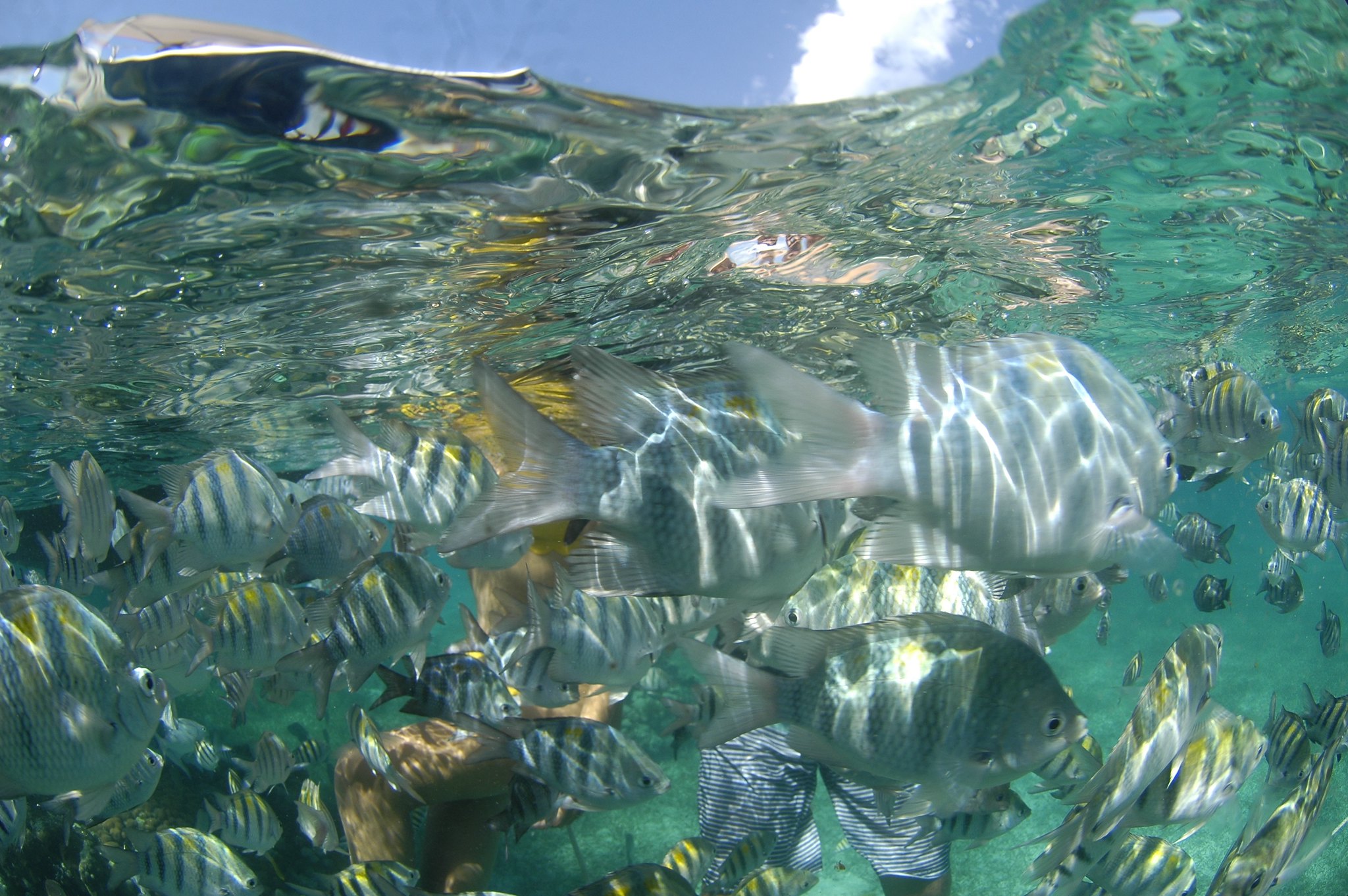 Fall Diving in Belize - Belize Dive Haven Resort