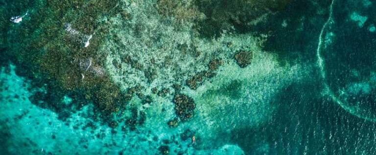 3 Reasons You’ll Love Diving in Belize - Belize Dive Haven Resort