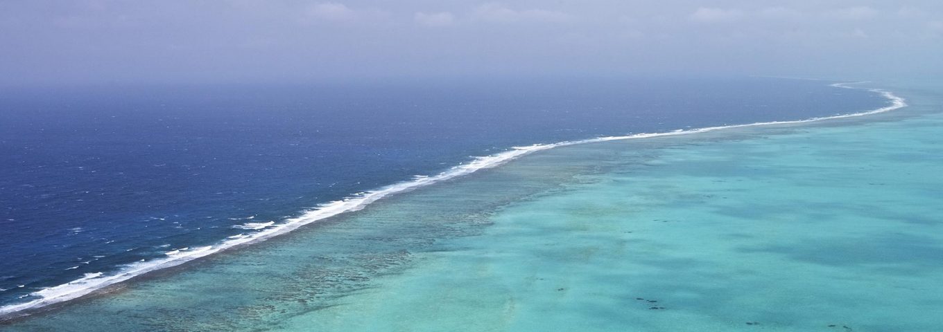 What To Know About The Belize Barrier Reef - Belize Dive Haven Resort
