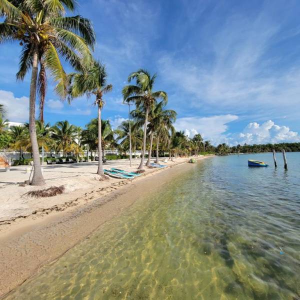 Gallery – Belize Dive Haven Resort